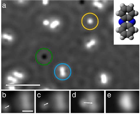 Figure 1 From Bonding Motifs In Metal Organic Compounds On Surfaces