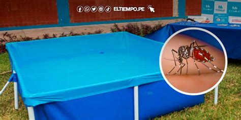 Dengue en Piura Instalación de piscinas en las calles incrementaría casos Diario El Tiempo