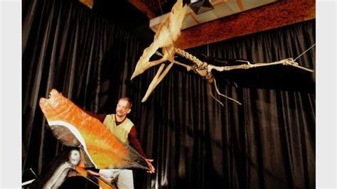 Les oiseaux préhistoriques dévoilent les secrets de leurs couleurs