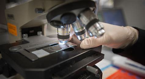 Mount Sinai Researchers Develop Method To Identify Dormant Cells That