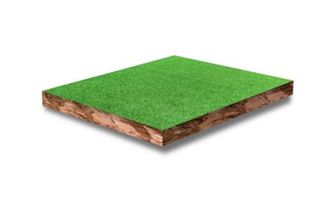 Green Grass Pngs For Free Download
