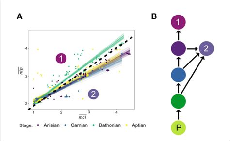 A Recreation Of Figure E Top Representing The Relationship Between Download Scientific