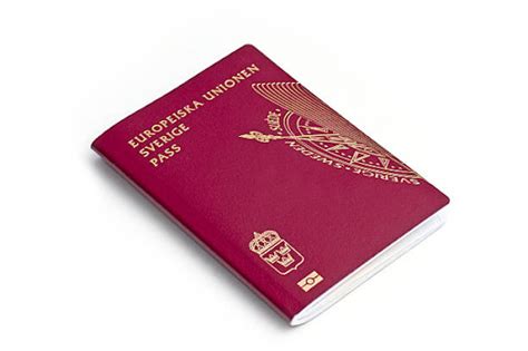 Guide To Applying For A Russia E Visa As A Swedish Citizen