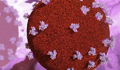New Hiv Antibody Treatment Takes Important Step Towards A Cure