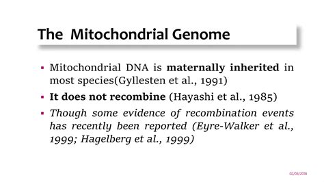 Mitochondrial Dna Replication Pptx