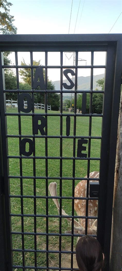 Aoro Siie Rdontdeadopeninside