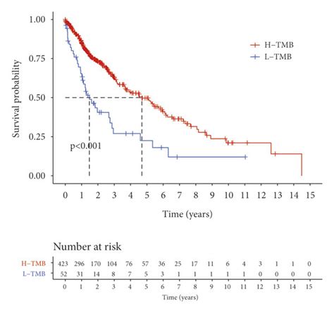 Correlation Between Aps And Tumor Mutation Burden Tmb A The