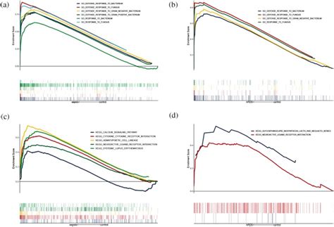 global transcriptional regulation of stat3 and myc mediated sepsis