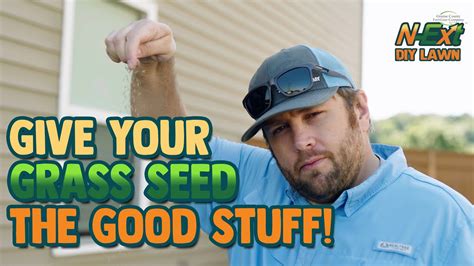 This Is How To Get Your Grass Seed To Grow Seeding And Overseeding
