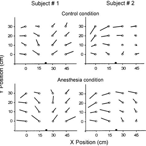 The Spatial Pattern Of Errors In Each Condition Is Shown For Two