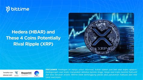 Hedera HBAR And These 4 Coins Potentially Rival Ripple XRP Bittime
