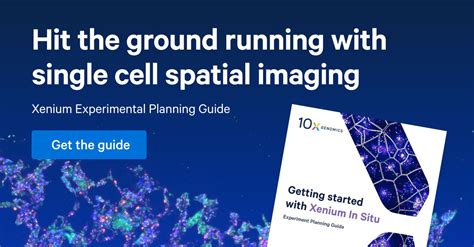 Xenum In Situ Getting Started Guide 10x Genomics