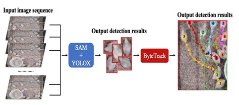 Segment Anything Model For Precision Poultry Monitoring Precision Poultry Farming