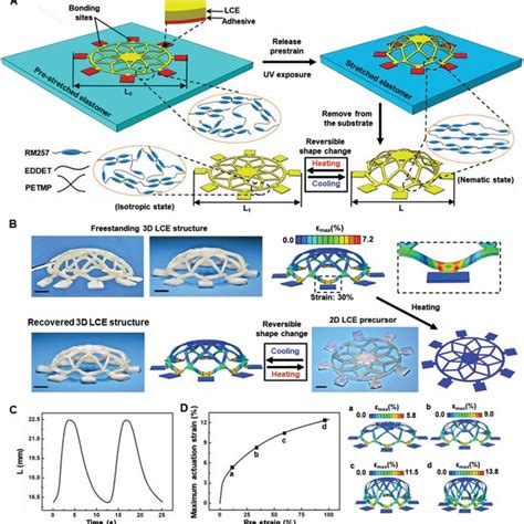 Programmable Shape Morphing And Tunable Properties Of Magnetic Soft Download Scientific Diagram