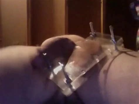 A Sissy Husband Balls Must Be Maintained With A Plastic Vice English