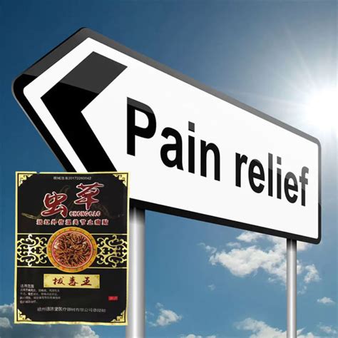 Relieve Pain Ointment Cordyceps Analgesic Plaster 24pcs Leg Numb