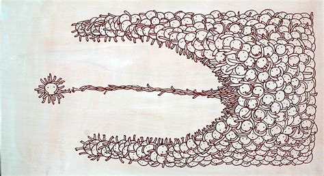 공생에 대한 그림