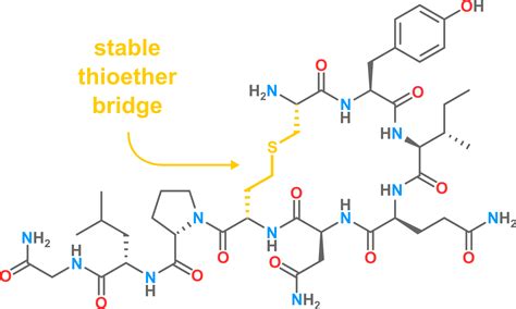 Custom Peptides Modpep