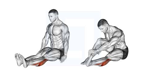 Ankle Circles Guide Benefits And Form