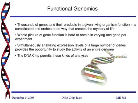 Ppt Dna Chips Microarrays And Emerging Nanotechnologies Powerpoint