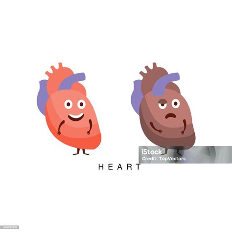 건강 Vs 건강에 해로운 심장 인포그래픽 일러스트레이션 건강에 좋지 않은 음식에 대한 스톡 벡터 아트 및 기타 이미지 건강에