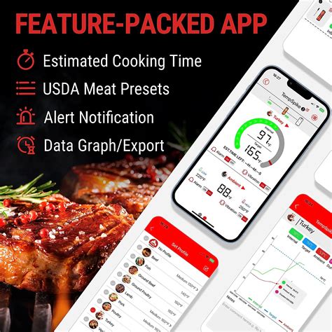 Termometr Bezprzewodowa Sonda Thermopro Tempspike Tp 960 Aze Tech