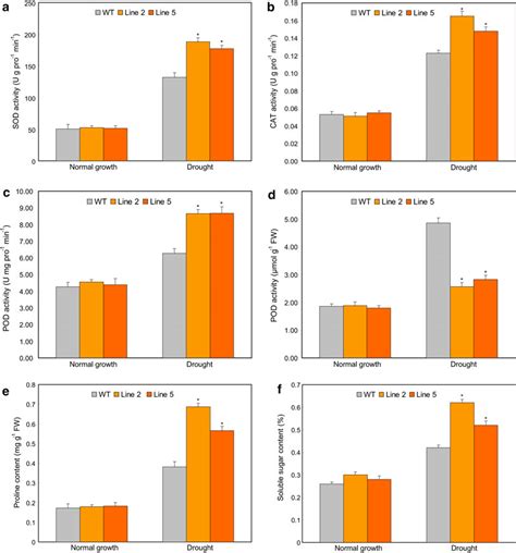 Antioxidant Enzymatic Activities And Osmolyte Contents Of Tanf Yb3l