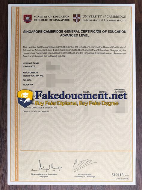 University Of Cambridge International Examinations Transcript