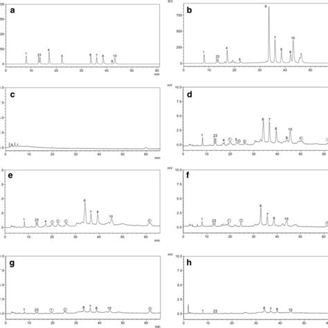 HPLC Chromatograms Of The Test A Chromatograms Of The Mixed Download Scientific Diagram
