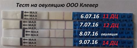 Тест на овуляцию какие бывают: Тесты на овуляцию