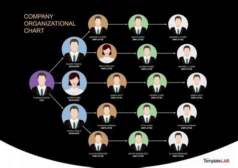Organizational Chart Templates Word Excel PowerPoint PSD