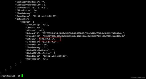 docker镜像操作 docker 运行镜像 csdn博客
