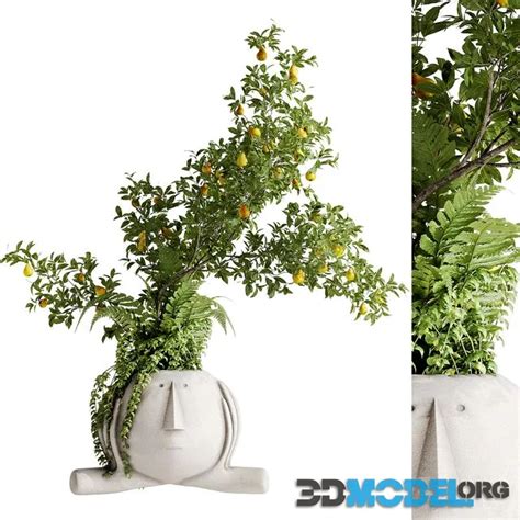 3d Model Inserting Plant Bouquets Into Sculptures