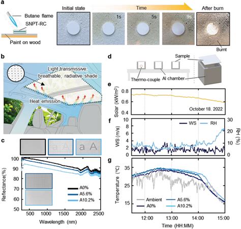 Radiative Cooling Performance Of Thermal Insulative And Perforated
