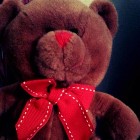 Cutest Bear Cute Bears Cute Bear