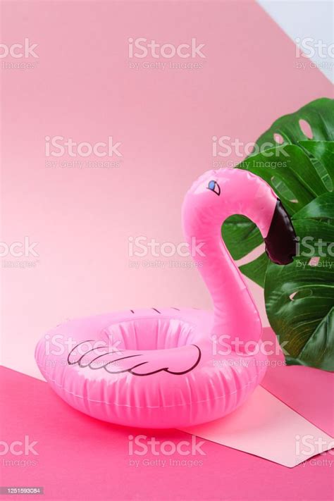 팽창식 핑크 미니 플라밍고와 핑크 백그라운드의 열대 잎 몬스터 창조적 인 여름 해변 개념 플라밍고 트렌드 풍선 장난감 개념에 대한 스톡 사진 및 기타 이미지 Istock