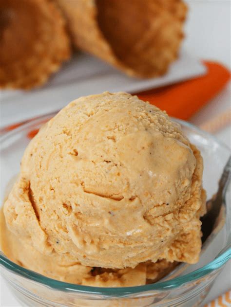 5 Ingredient Pumpkin Pie Ice Cream Recipe Thrifty Jinxy
