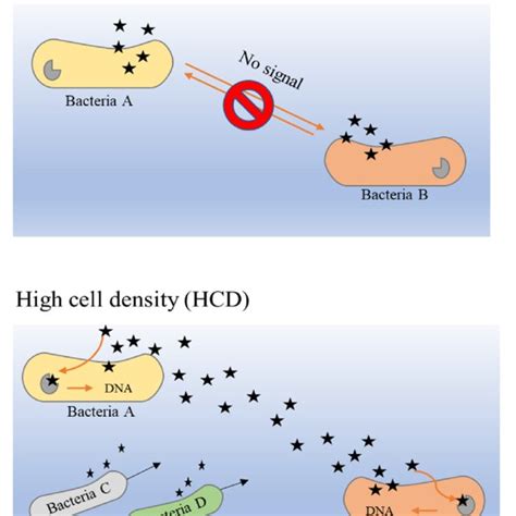 Classification Of Marine Biofouling Download Scientific Diagram