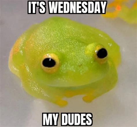Its Wednesday My Dudes Rstickstea