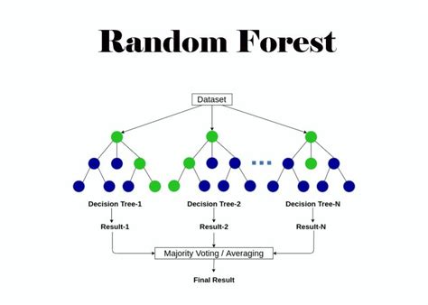 Randomforest Machinelearning Datascience Ai Beginners Being