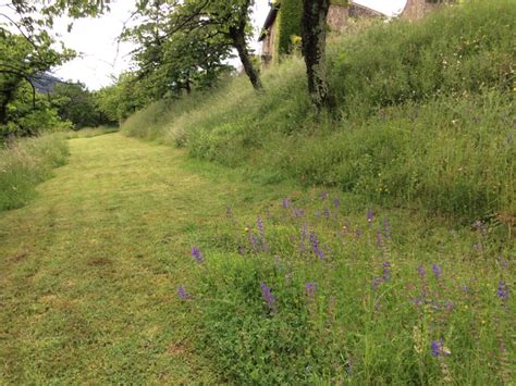 Creating Wildflower Meadows Lindy Sinclair