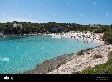 Corse Du Sud Department Southern Corsica Beach Plage Du Petit