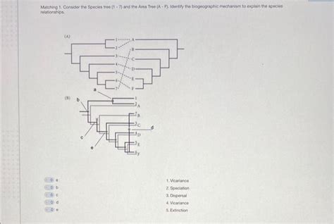 Solved Matching Consider The Species Tree And The Chegg Com