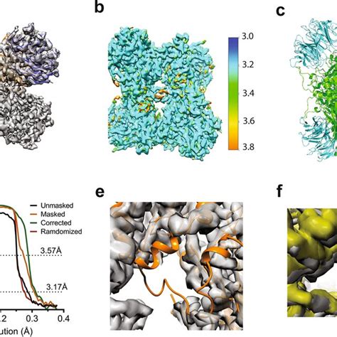 Pdf Cryo Em Structure Based Selection Of Computed Ligand Poses