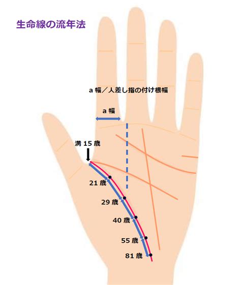 手相の生命線の意味と見方！短く薄い・枝分かれなど