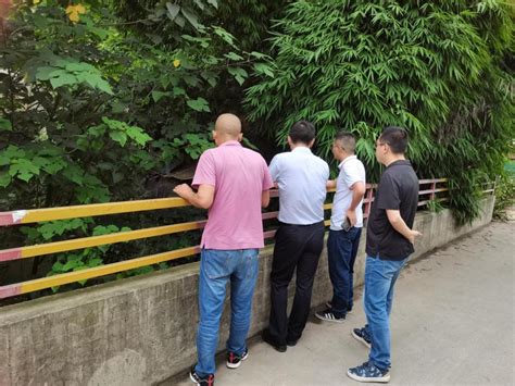 眉山市彭山区人社局扎实开展巡河工作 确保水清岸绿 眉山市彭山区人民政府