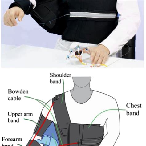 Upper Limb Exoskeleton Able And Its Arm Segment Representation With Download Scientific Diagram