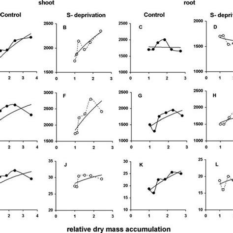 The Values Of The Allometric Functions Scaling Factor B T And