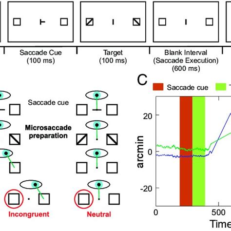 Interactive Constructive Active Passive Icap Framework For The Download Scientific Diagram