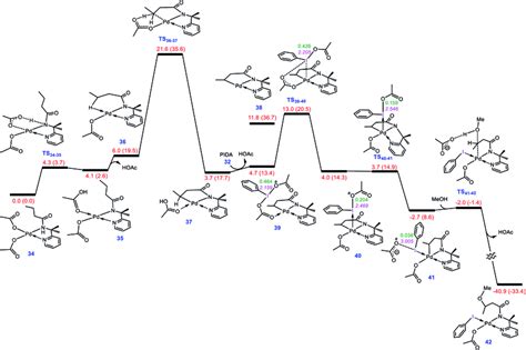 Calculated Energy Profile For Palladium Catalyzed Csp³h Alkoxylation